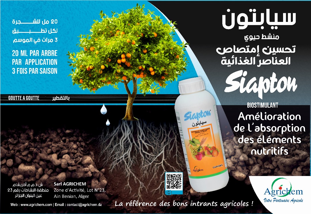 Pesticides, Fertilisants, Semences - Agrichem Algérie, Votre ...